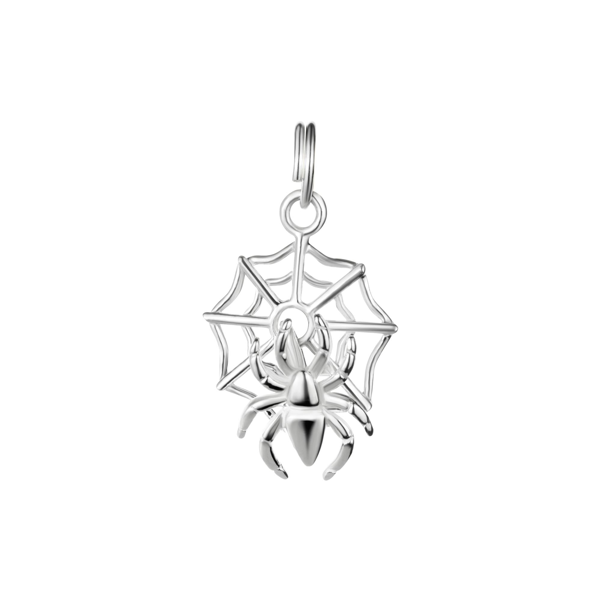 Silver Spider & Web Charm